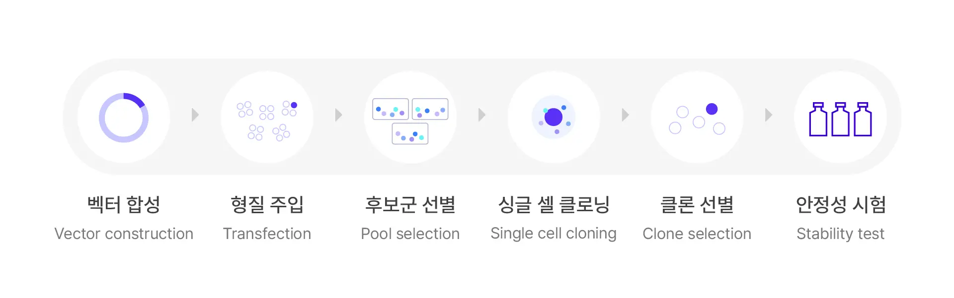 Master Cell Bank, 첫 단추를 끼우는 책임감